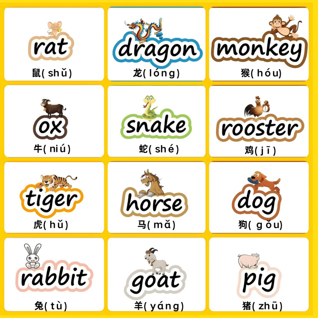 Learn Chinese Zodiac Animals: English, Characters and Pinyin Guide ...